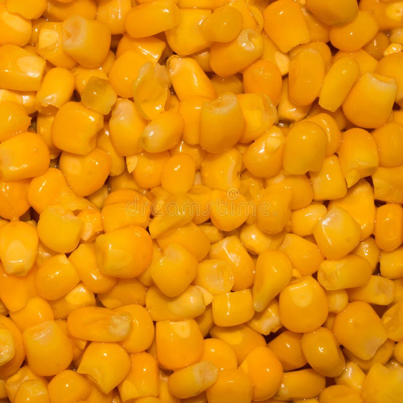 Background of Corn Kernels.Canned Corn Stock Image - Image of juicy ...