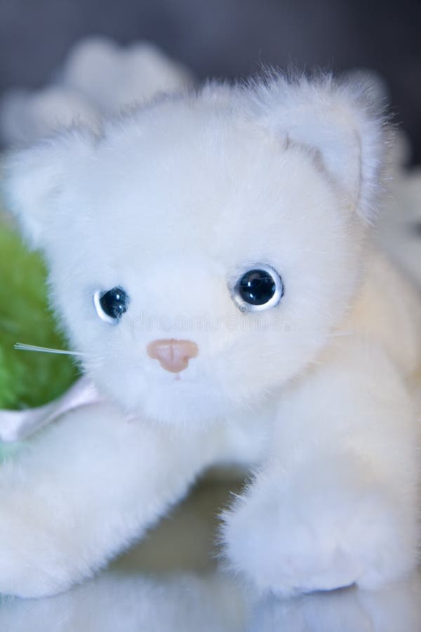 Sweet Kitty Cat stock photo. Image of soft, baby, expression - 16398688