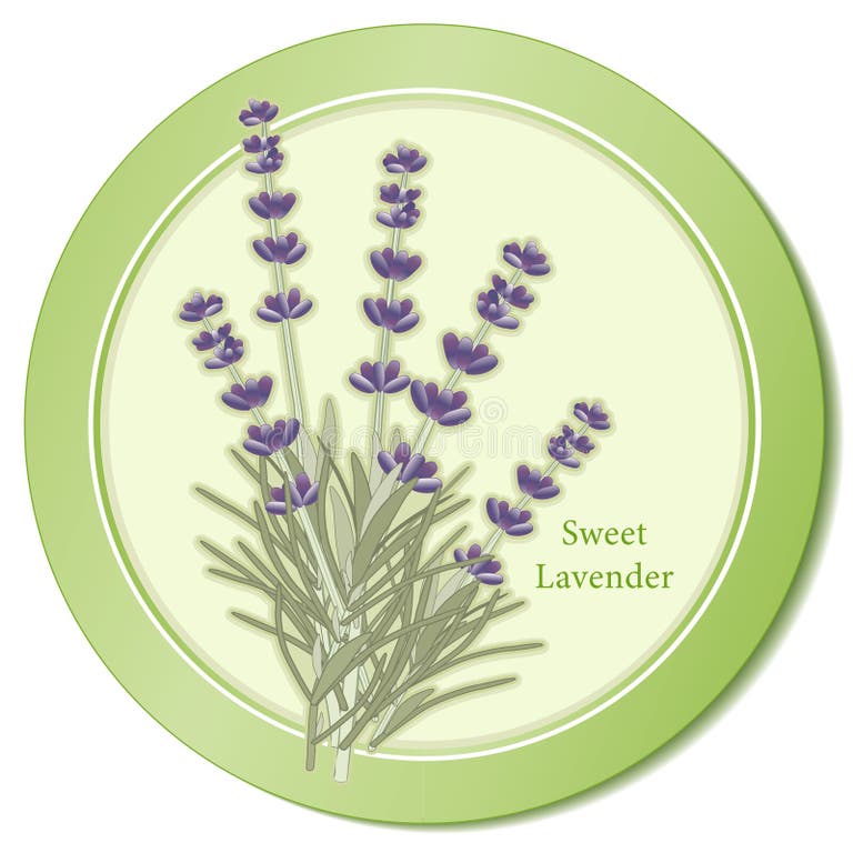 Lavender Sprig Stock Illustrations – 2,753 Lavender Sprig Stock ...