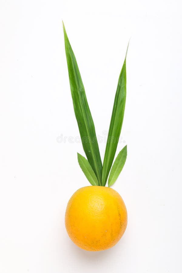 Sweet Lime Mosambi Fruit on White Background Stock Photo - Image of ...