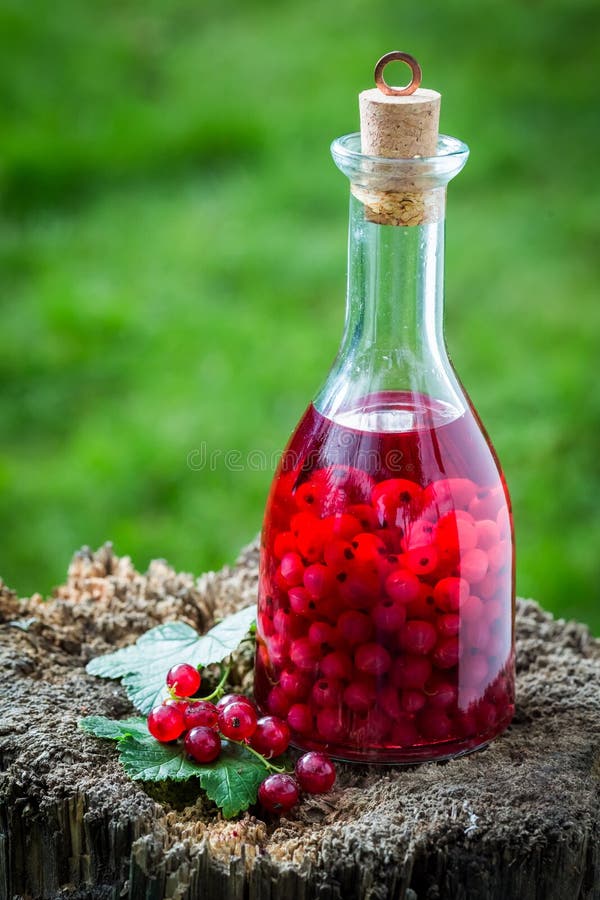 Sweet Liqueur Made of Alcohol and Redcurrants in Summer Stock Image ...