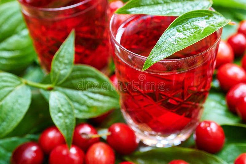 Sweet Liqueur Made from Rowan Berries Stock Image - Image of gourmet ...