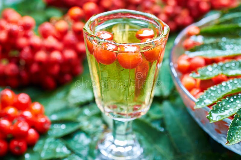 Sweet Liqueur Made from Rowan Berries Stock Photo - Image of berries ...