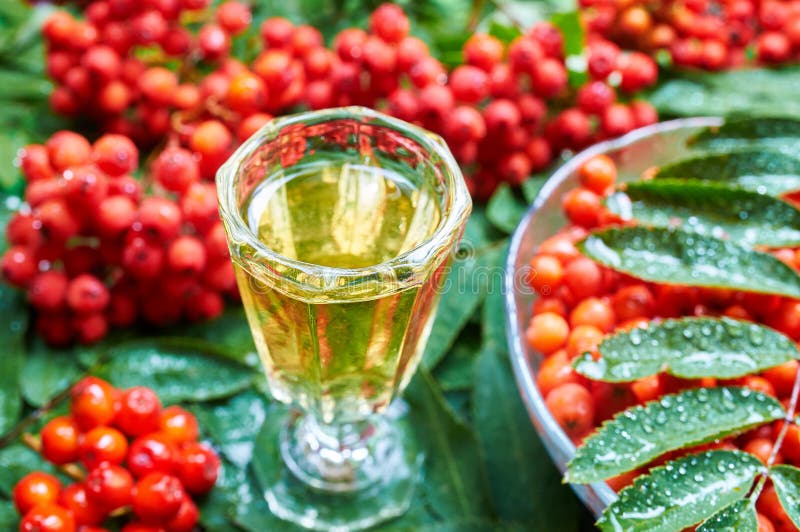 Sweet Liqueur Made from Rowan Berries Stock Image - Image of gourmet ...