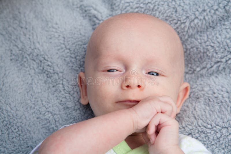 Adorable Bald Baby Boy With Big Blue Eyes Stock Image - Image of hold ...