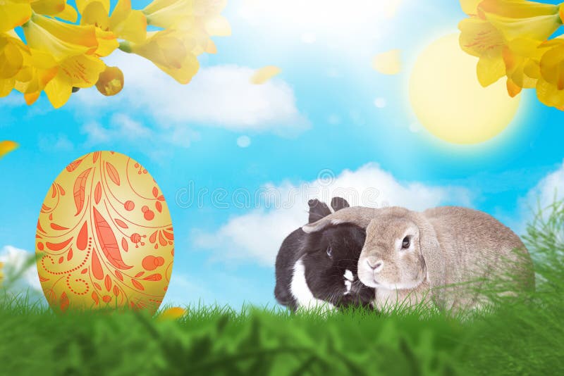 Two Funny Easter Bunnies Easter Egg on Green Meadow Stock Photo - Image ...
