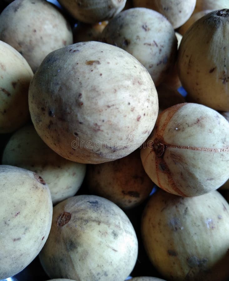 1,008 Duku Fruit Stock Photos - Free & Royalty-Free Stock Photos from ...
