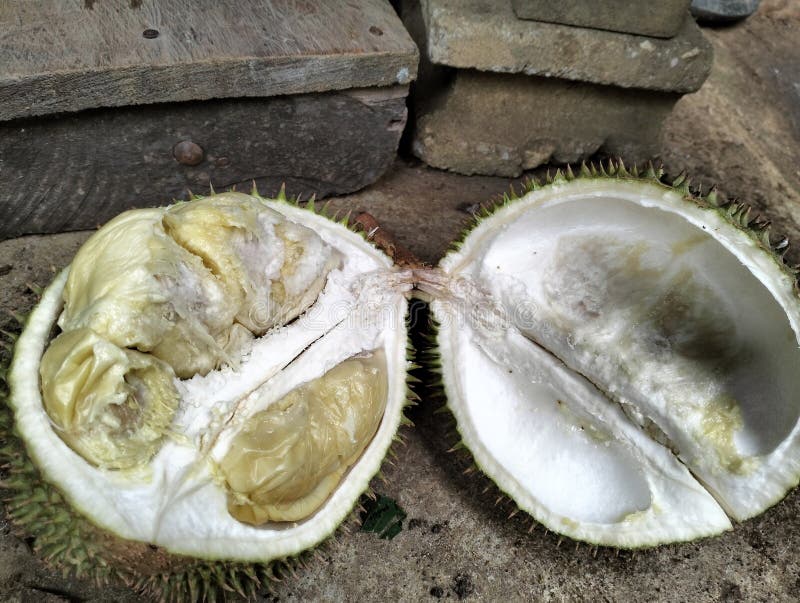 Sweet Local Indonesian Durian Stock Photo - Image of indonesian, durian ...
