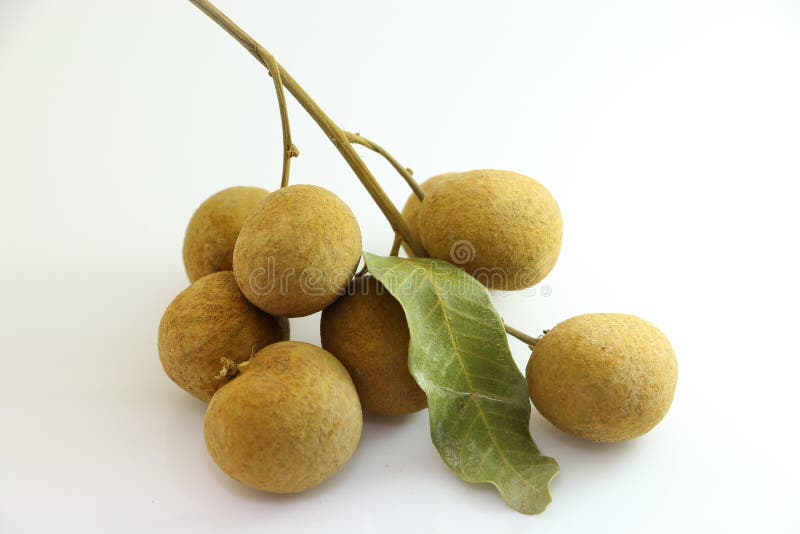 Sweet longan fruit stock photo. Image of market, tropical - 66230638