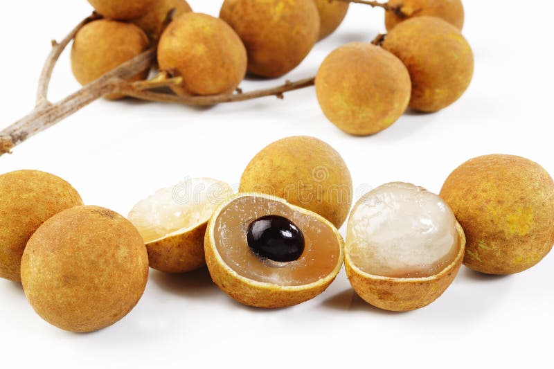 Sweet longan fruit stock photo. Image of animal, leaf - 43602094