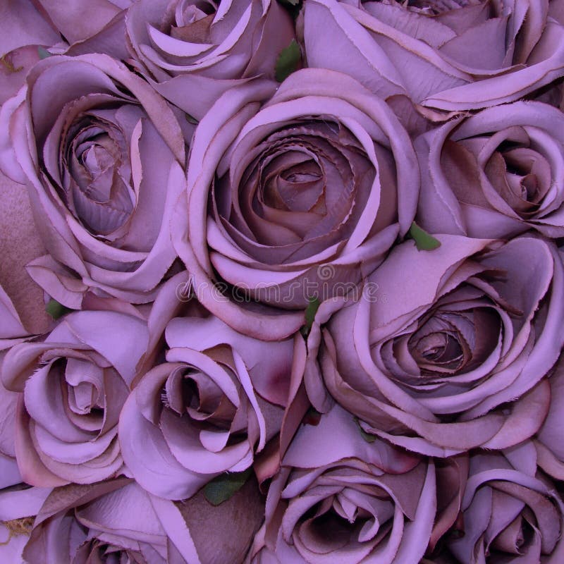 Delft Blue wedding bouquet stock image. Image of perfect - 6535393