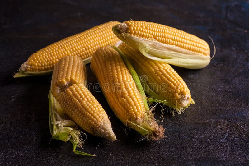 Maize stock photo. Image of vegetative, salt, healthy - 101841762
