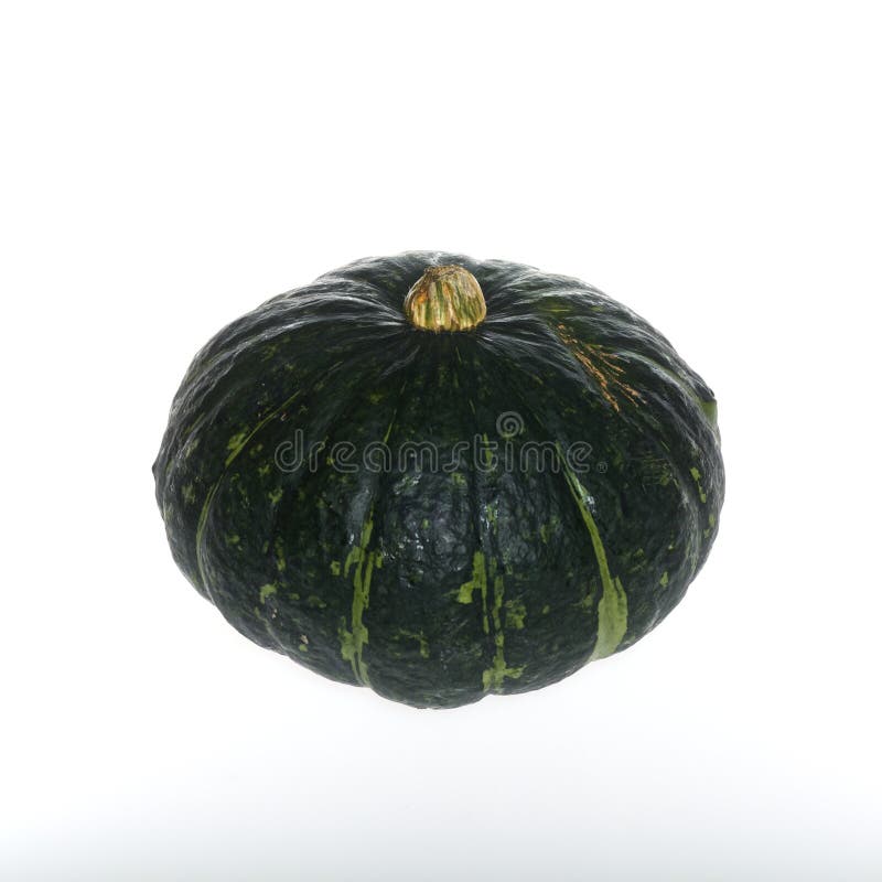 Sweet Mama Squash (Cupless Buttercup) Stock Photo - Image of squash ...