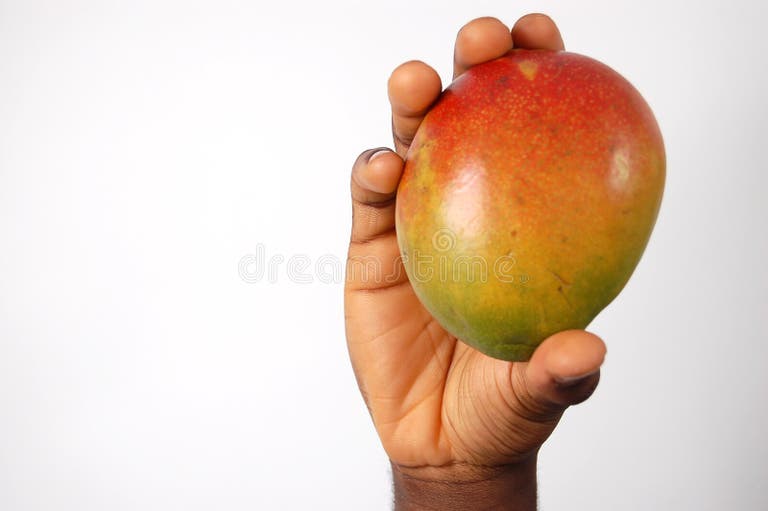 113 Best Mango Fruit Juice Stock Photos - Free & Royalty-Free Stock ...