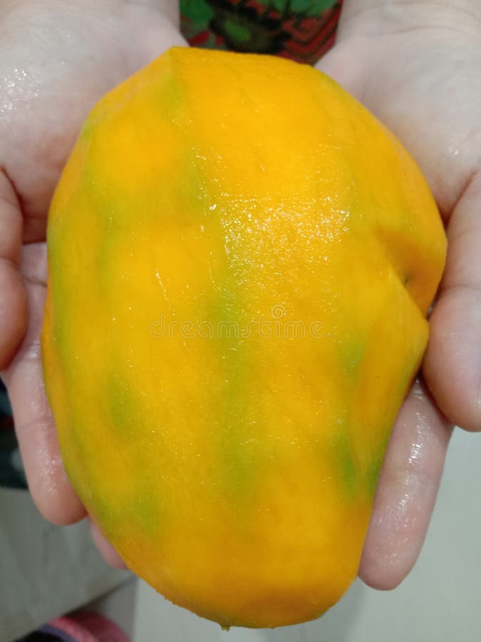Sweet Mango Fresh Look after Peel Stock Photo - Image of peel, fresh ...