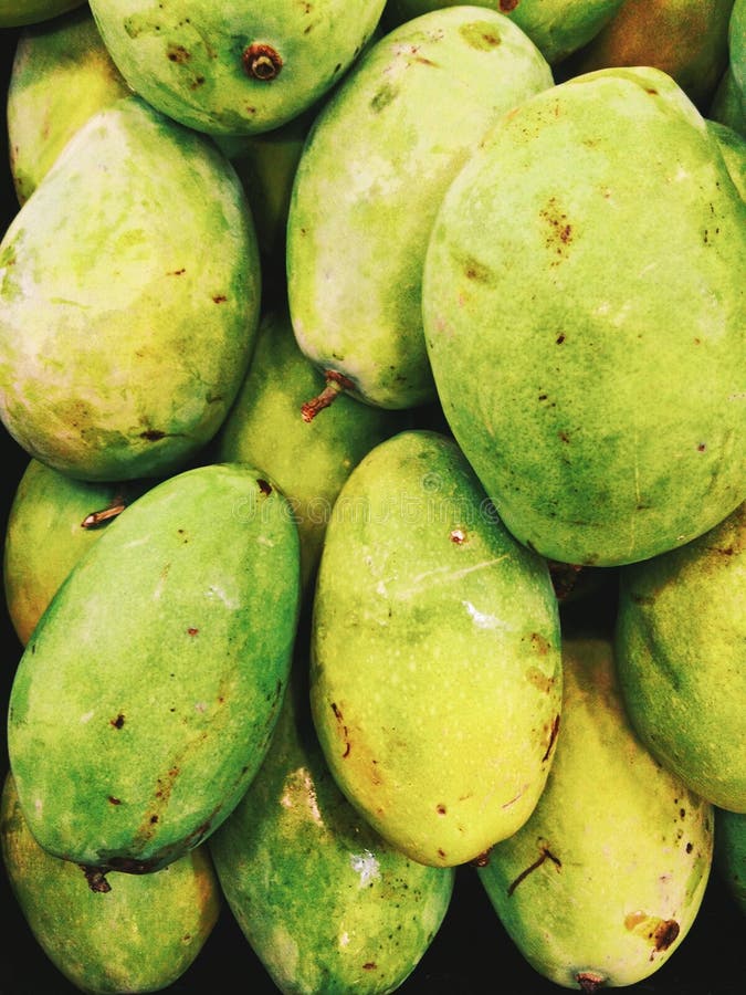 Sweet mango stock image. Image of indonesia, fruits - 101985825