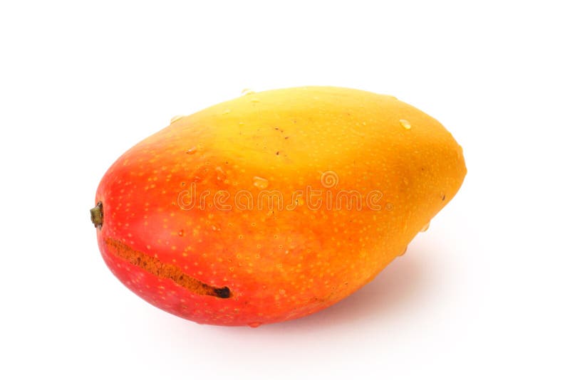 Mango collection stock image. Image of fresh, orange - 19815671