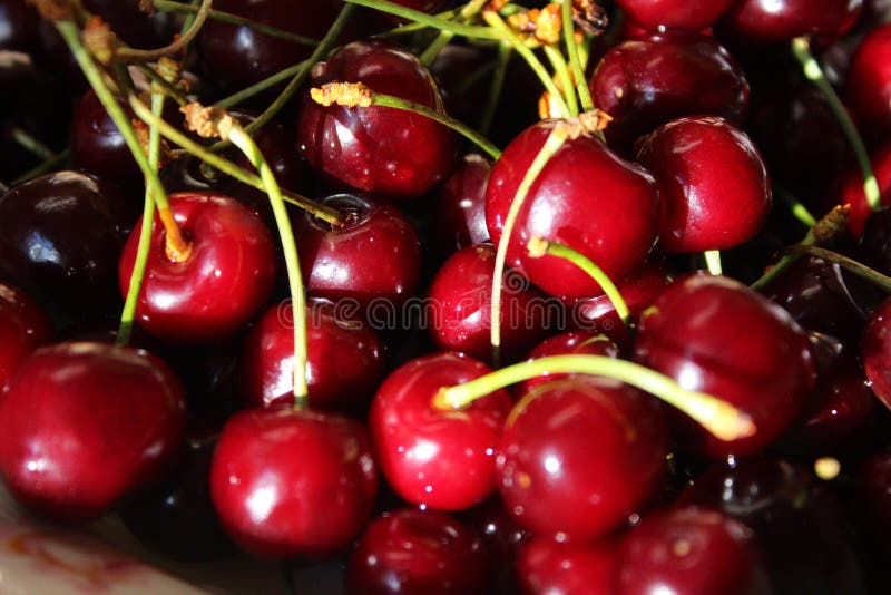 Sweet Maroon Cherries on the Plate Stock Image - Image of drink, eating ...