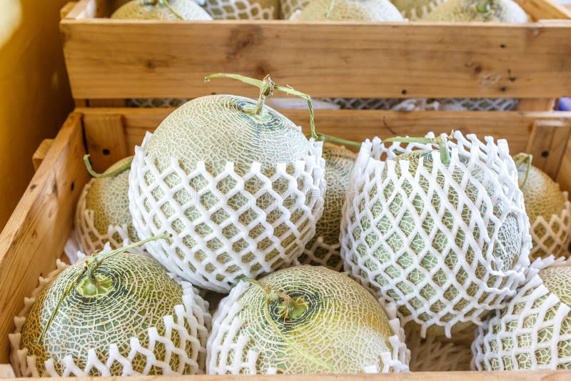 Sweet melon raw stock photo. Image of white, sweet, yellow - 48581180