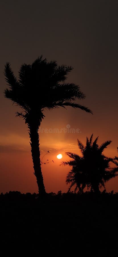 Sweet Morning Sunrise Sence Best Scenery Stock Image - Image of morning ...