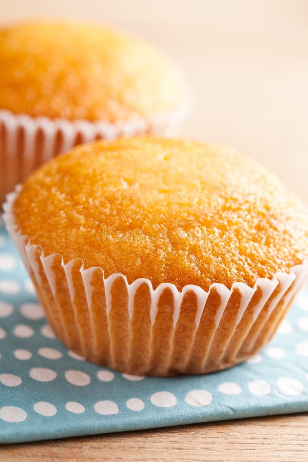 Sweet muffins stock photo. Image of sweet, confectionery - 16244774