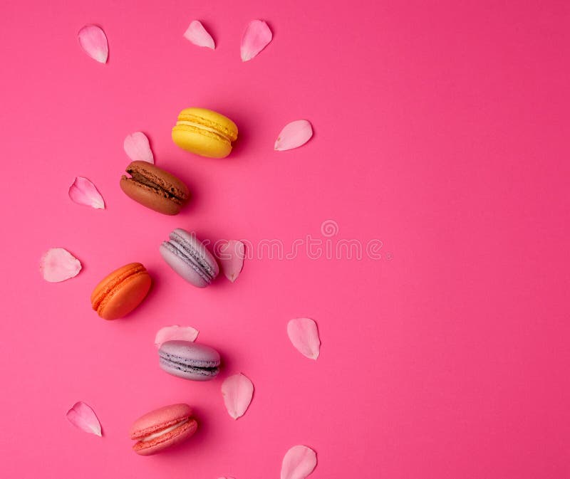 Sweet Multi-colored Macarons with Cream and a Pink Rose Bud Stock Image ...