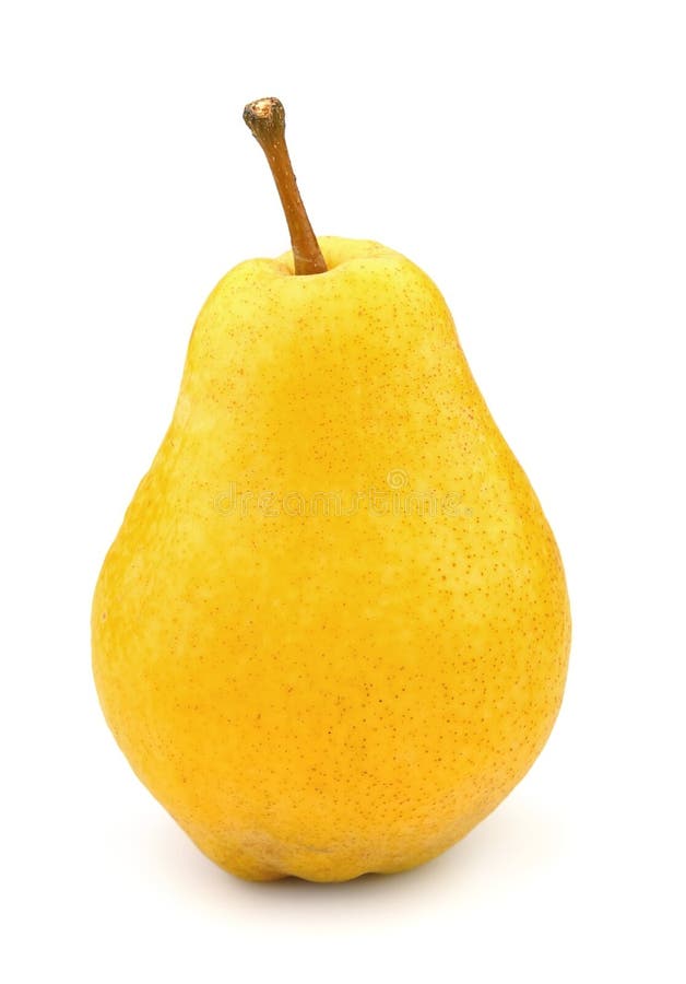 Sweet one pear stock image. Image of pear, autumn, white - 22019849