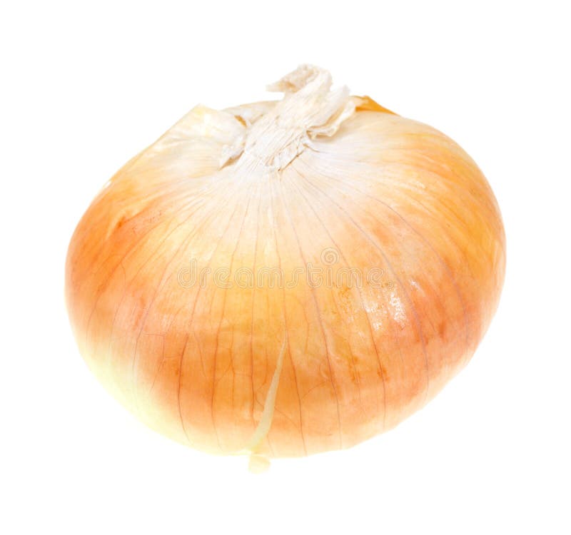 Single Red Onion Slice stock photo. Image of white, seasoning - 22174980