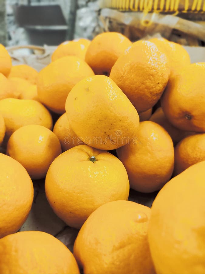 Sweet Orange Fruit from Indonesian Agriculture Stock Photo - Image of ...