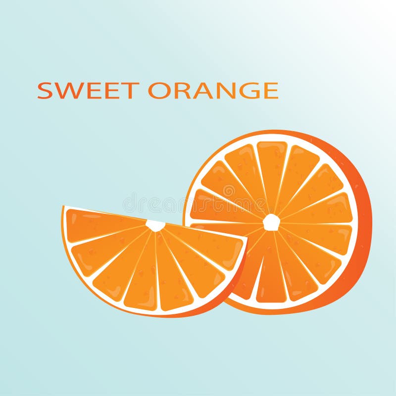 Sweet Orange. Vector Illustration of an Orange on a Blue Background ...