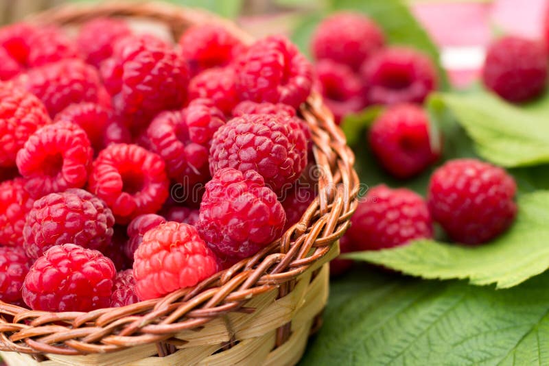 Sweet Organic Raspberries in a Basket Stock Photo - Image of raspberry ...