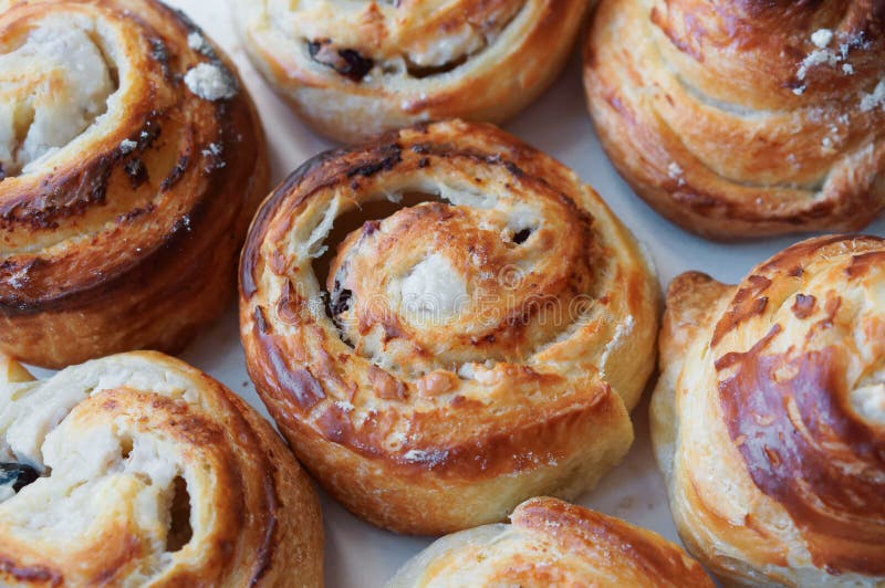 Fresh Round Pastries, Sweet Rolls with Cottage Cheese Stock Image ...