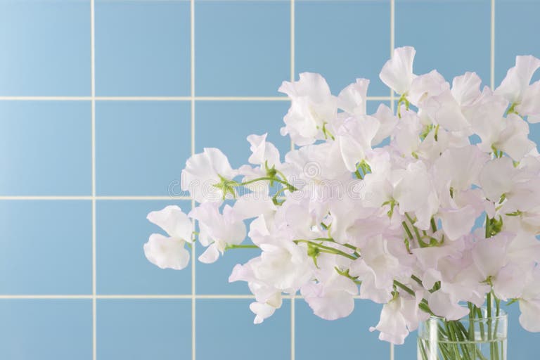 1,377 Bouquet Sweet Pea Stock Photos - Free & Royalty-Free Stock Photos ...