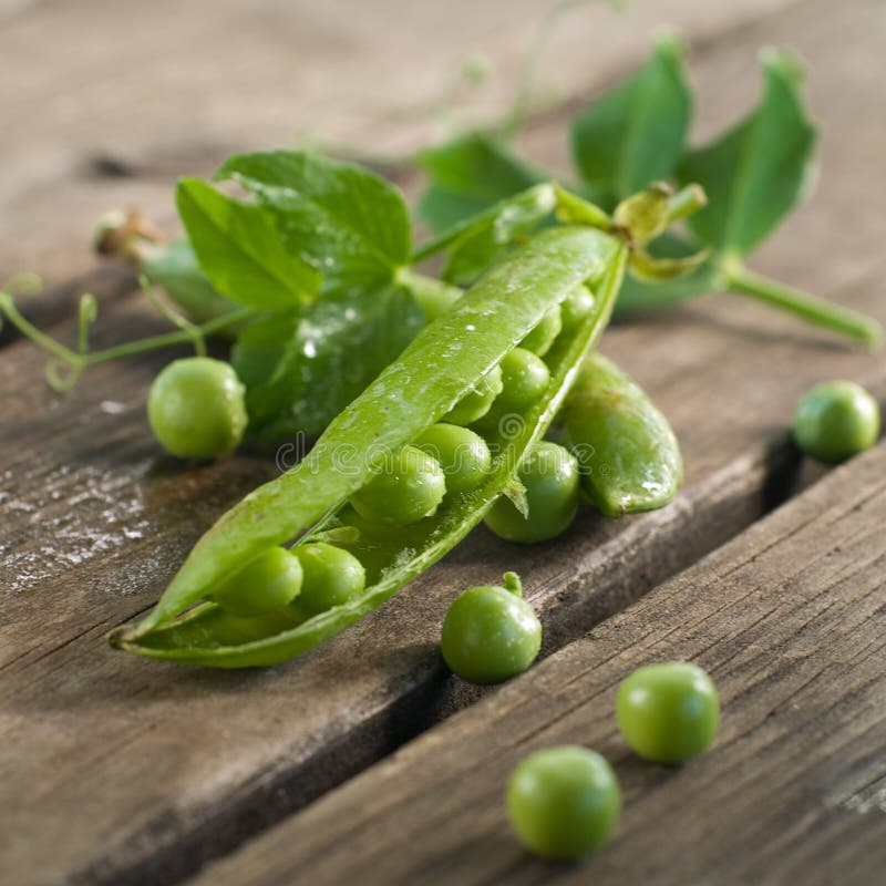 Pea Pod stock image. Image of sugar, snap, legume, healthy - 5556351