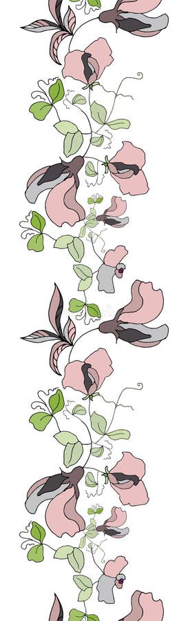 Sweet Pea Seamless Border Pattern. Vector Stock Vector - Illustration ...