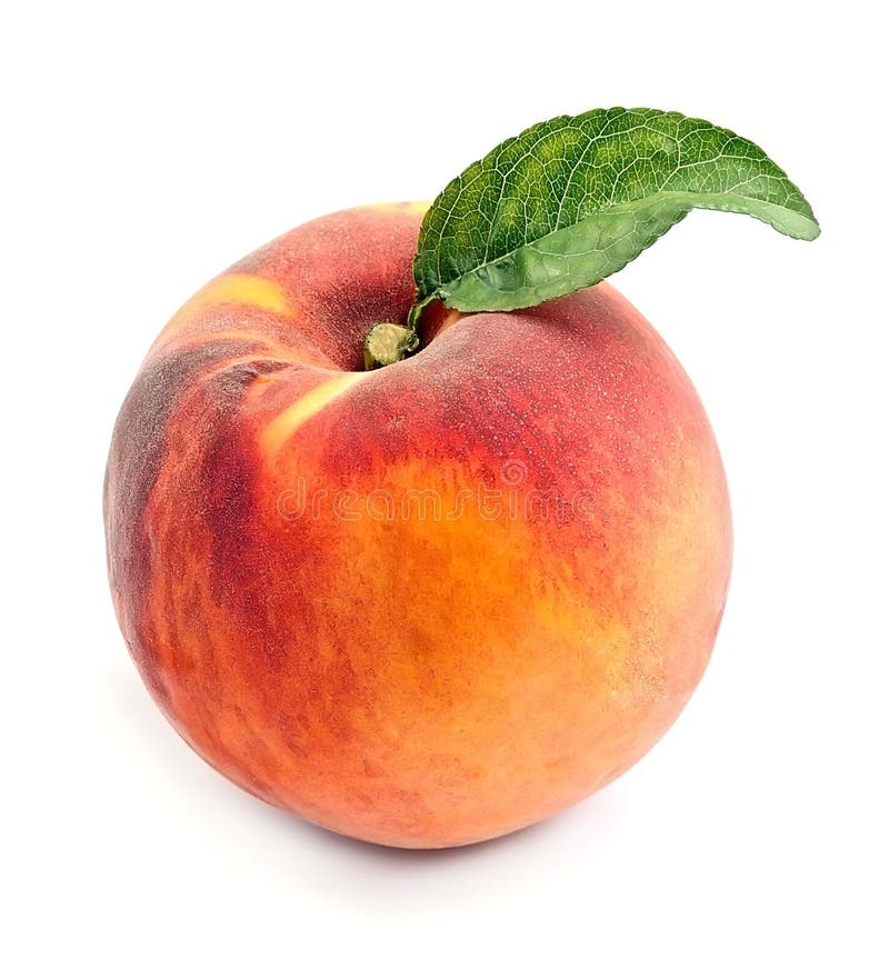 Sweet peach fruits stock photo. Image of ripe, organic - 264406532