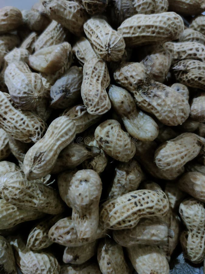 Sweet peanuts nice stock image. Image of kacang, sweet - 265522001