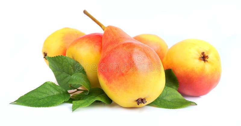 Sweet pears stock photo. Image of fruity, fruit, agriculture - 25927526