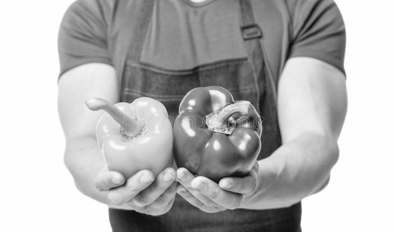 Sweet Pepper Vegetable in Hands of Man Isolated on White Stock Image ...
