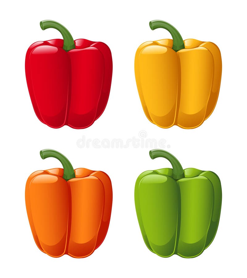 Sweet Peppers stock vector. Illustration of ingredient - 15609913