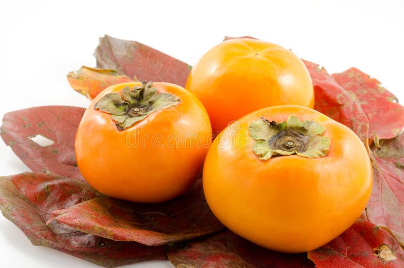 Sweet persimmons stock photo. Image of cook, fresh, ingredient - 28083908