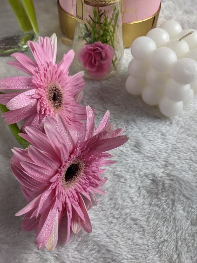 Sweet Pink Flowers on the Table with Candle Stock Image - Image of ...