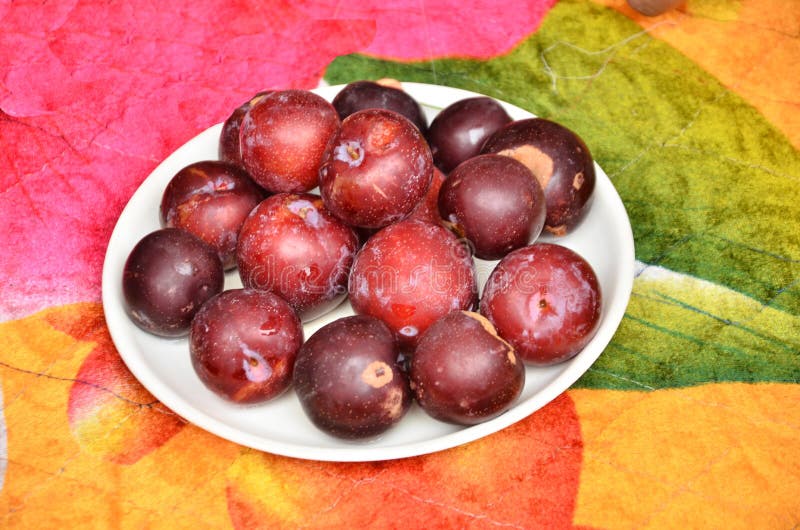 Sweet Plam Fruit in the Plate Stock Image - Image of clour, sweet ...