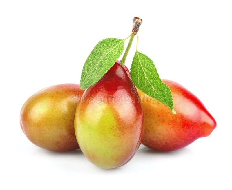 Sweet plums stock photo. Image of healthy, vitamins, isolated - 32298408