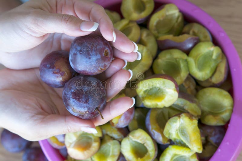 Sweet plums stock photo. Image of ripe, collect, bowl - 98314648