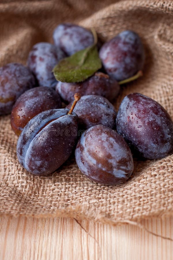 Sweet plums on pack cloth stock photo. Image of autumn - 98686786