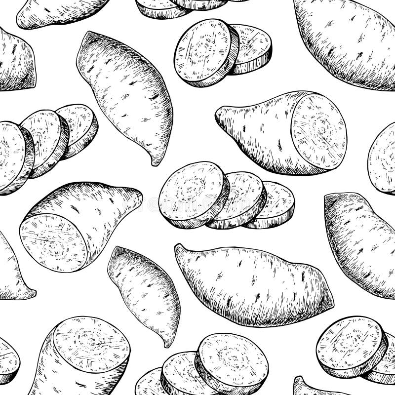 Starch Sketch Stock Illustrations – 553 Starch Sketch Stock ...