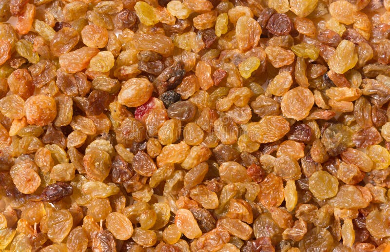 Sweet raisins stock photo. Image of nature, food, raisin - 57991120