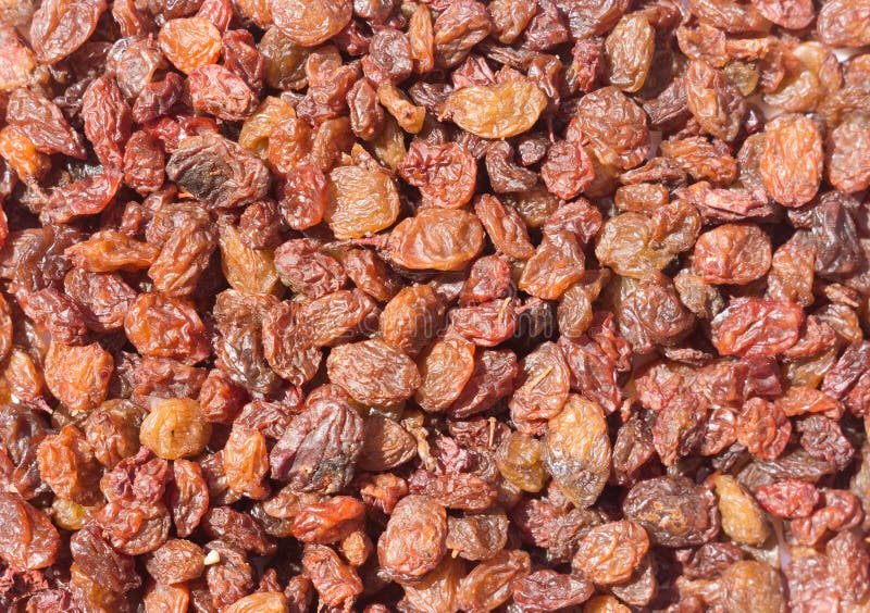 Sweet raisins stock photo. Image of nature, food, raisin - 57991120