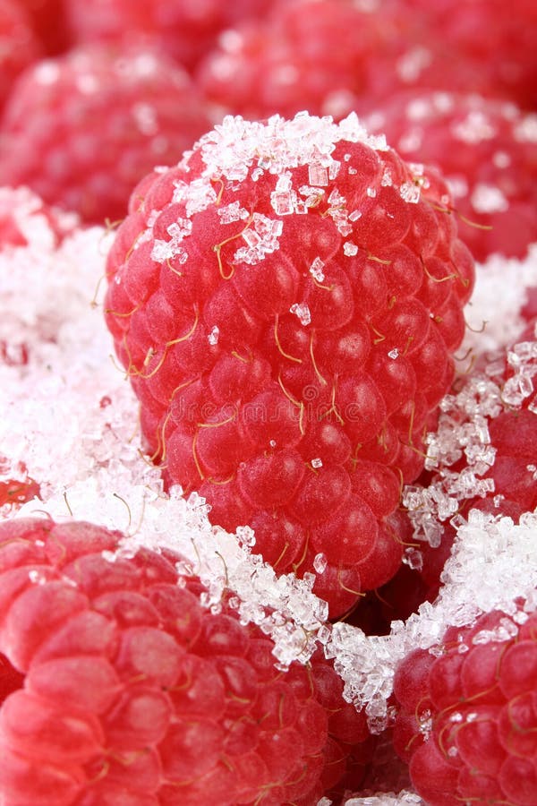 Sweet raspberry stock photo. Image of raspberry, sprinkle - 20551560